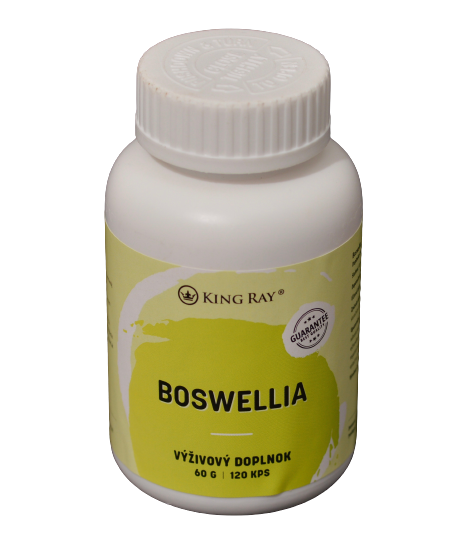 Boswellia – extrakt z pryskyřice kadidlovníku (120 kapslí) | Kingray